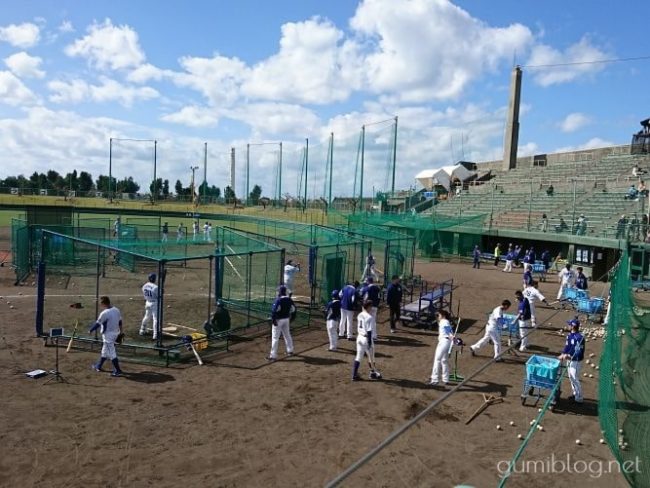 【沖縄の2月】在住者が解説！気温や服装･海で泳げるかやイベントなど楽しみ方を解説 | 沖縄のグミブログ